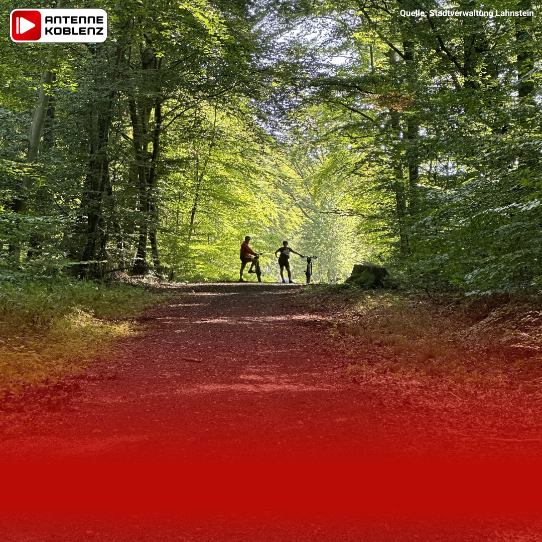 Lahnstein tritt in die Pedale: Über 45.000 km beim Stadtradeln ...
